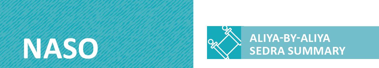 Parshat Naso Individual Articles - Torah Tidbits