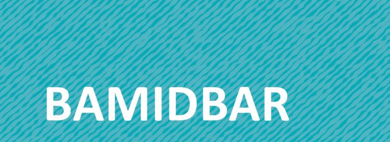 Parshat Bamidbar/Shavuot Individual Articles - Torah Tidbits