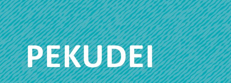 Parshat Pekudei 5782 Individual Articles - Torah Tidbits